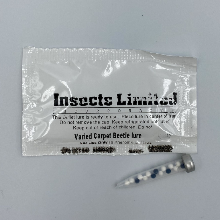 Varied Carpet Beetle and Guernsey Carpet Beetle Lure and Museum Trap ...